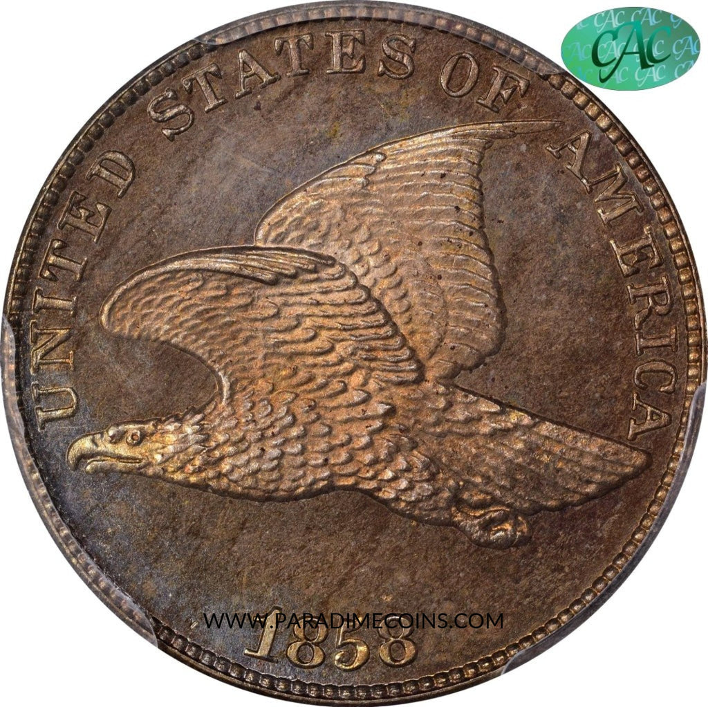 1858 1C PR65 CAM LG LT PCGS CAC EEPS: Paradime Coins US Certified Rare Coins PCGS CAC NGC